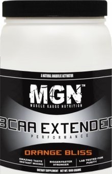 Muscle Gauge Nutrition BCAA Extended Performance | PricePlow
