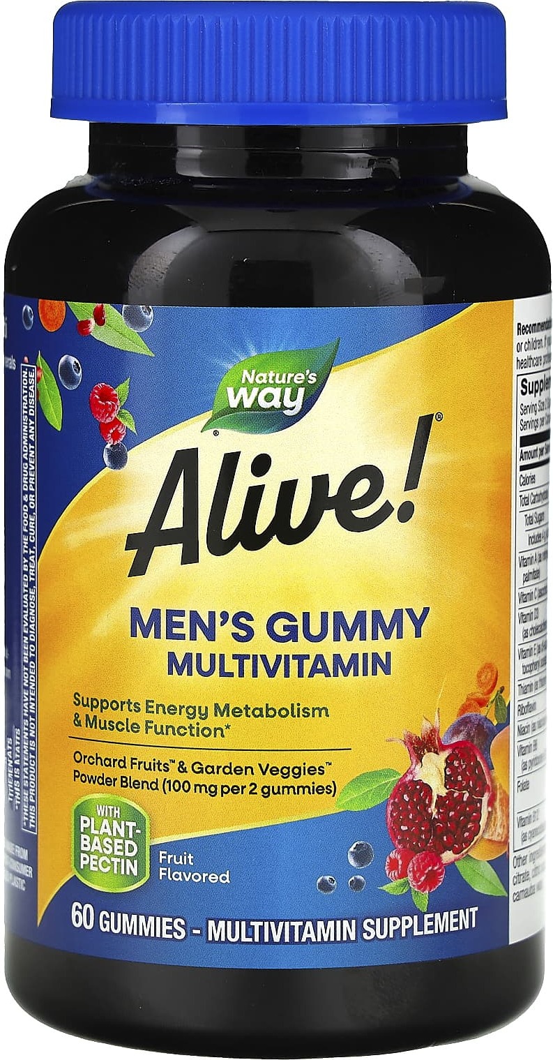 Nature's Way Alive! Men's Gummy Multivitamins | PricePlow