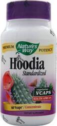 Nature's Way Hoodia Extract | News & Prices at PricePlow